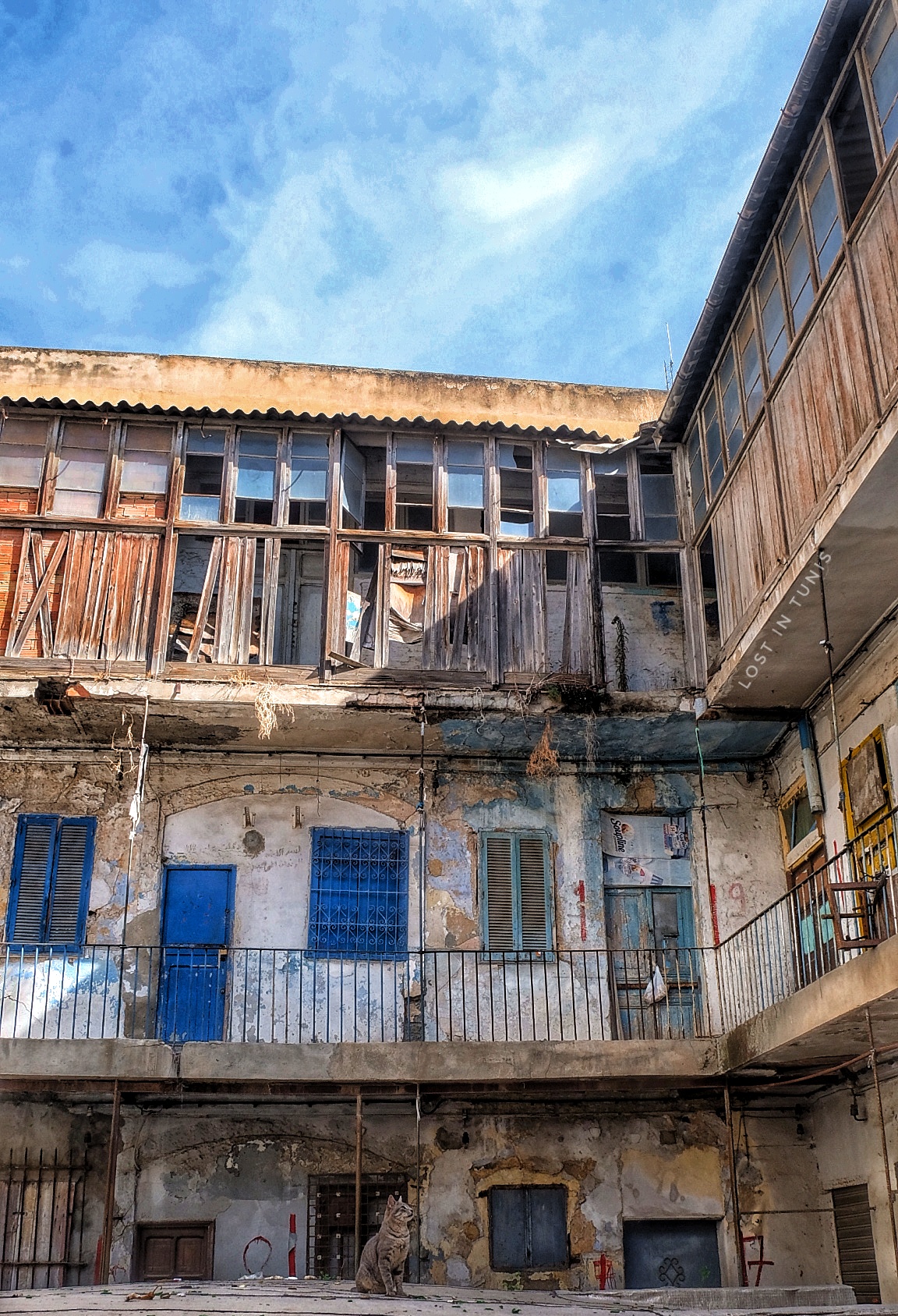 Cité Gabison - Lost in Tunis